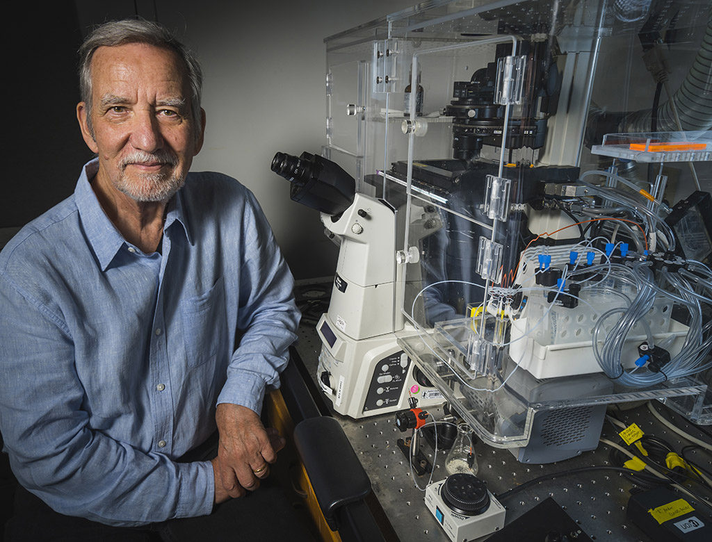 Professor's lung tissue offers up date trove | Stanford Medicine
