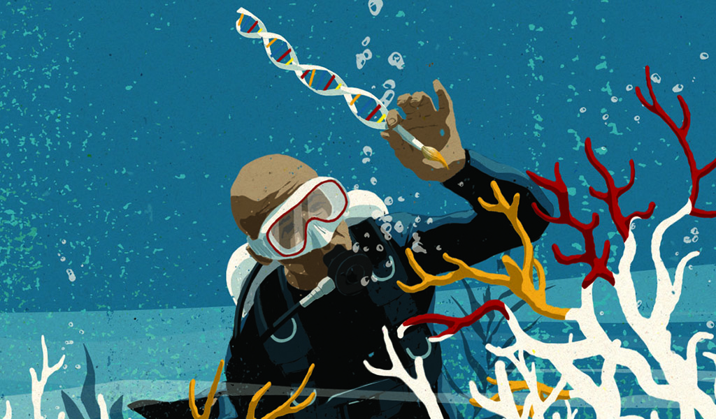 Coral decoded | Stanford Medicine