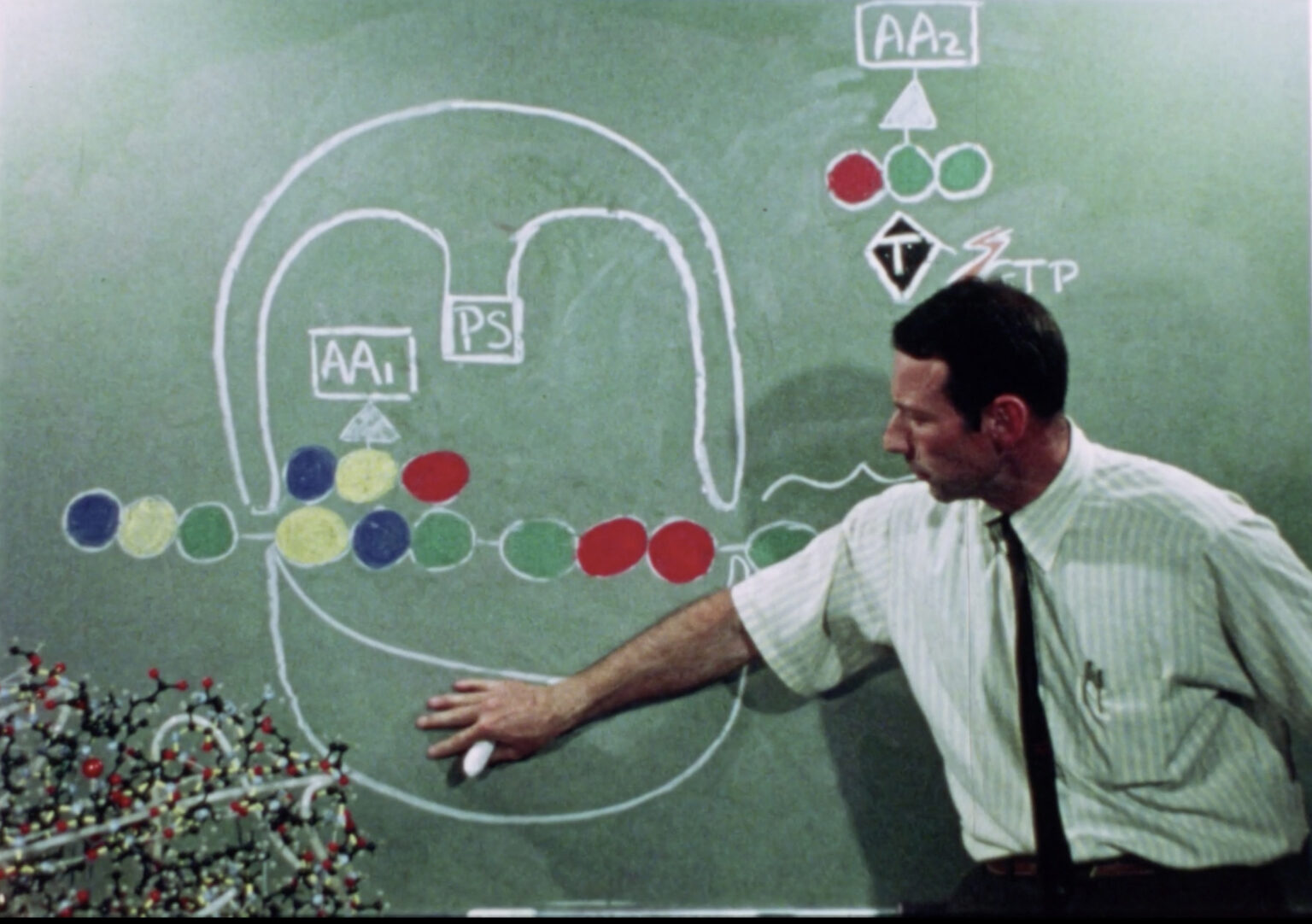 The making of cult film ‘Protein Synthesis: An Epic on the Cellular ...