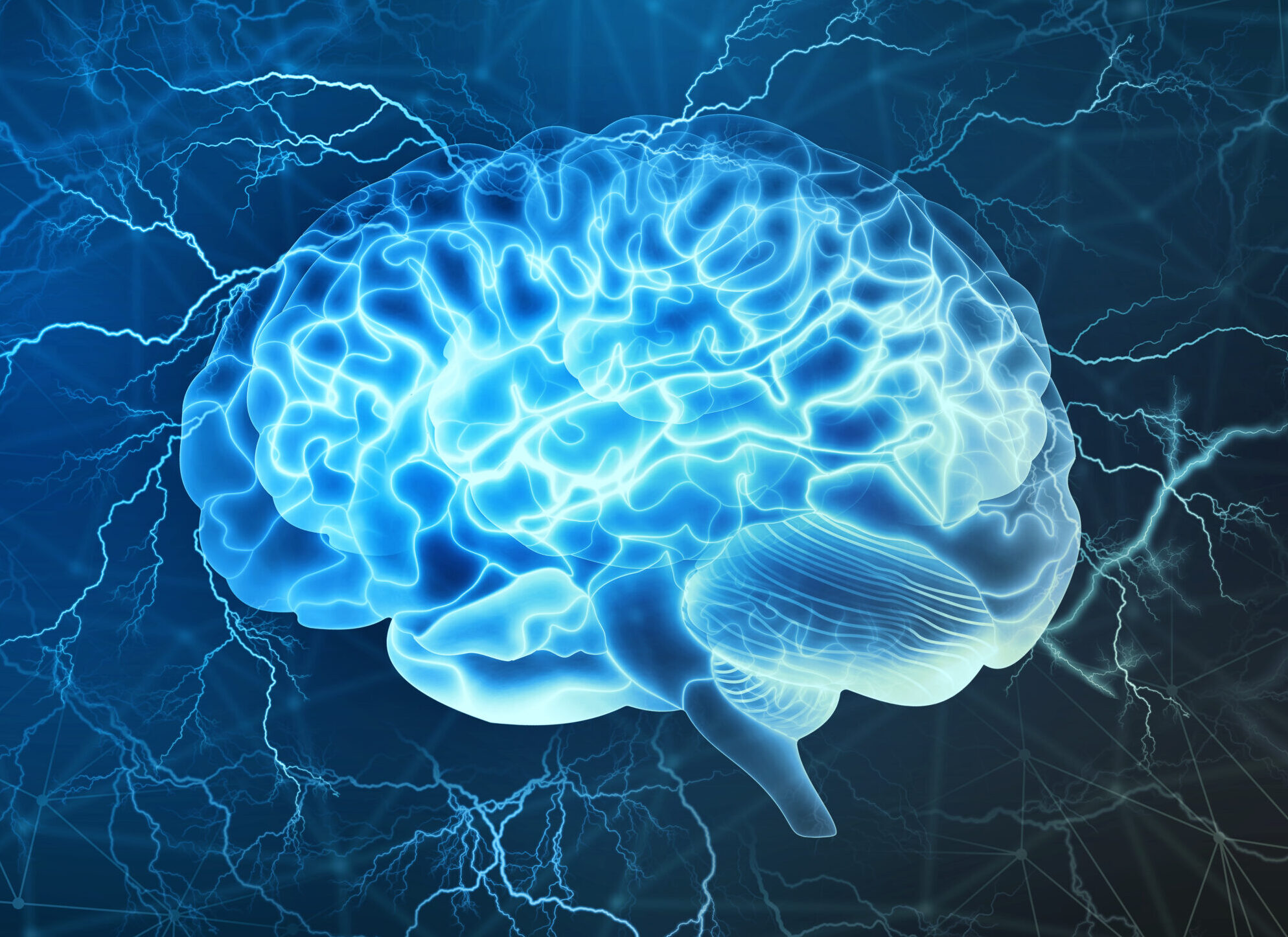 Tiny brain structure’s huge role in a human’s of physical self